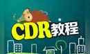 CDR广告设计视频教程:cdr手提袋设计视频教程案例分享_CDR教程...
