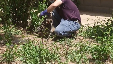 北京朝阳区通下水,通管道,疏通马桶电话150.1020.4194朝阳区疏通...