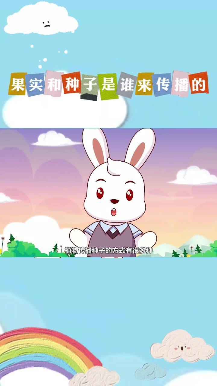 科普小课堂:果实和种子是谁来传播的