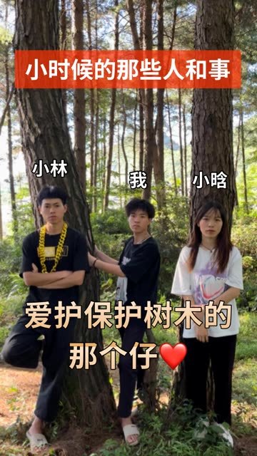 那些年爱护保护树木的小伙