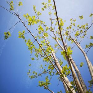 爱生活的高中生妈妈 