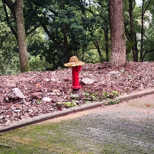 有路在此 