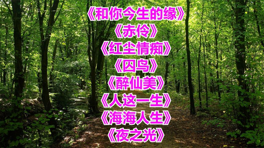 {和你今生的缘}{赤伶}{红尘情痴}{囚鸟}{醉仙美}