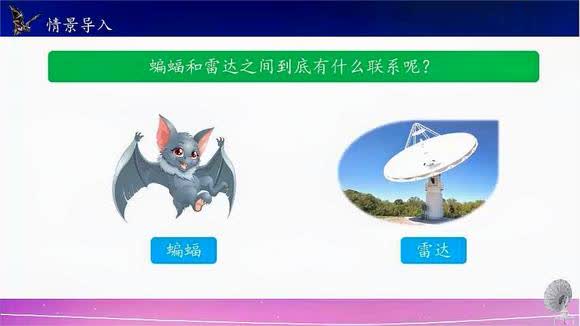 部编小学语文四年级上册网课:《夜间飞行的秘密》(第1课时)