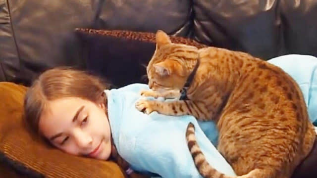 猫咪认认真真给主人按摩,网友:这家庭按摩师太敬业了