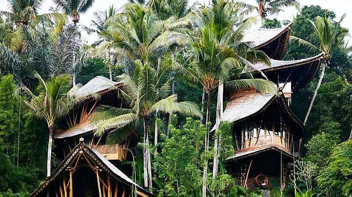 美女设计师用竹子建造了村庄,引来了全球40多个国家围观!真想去