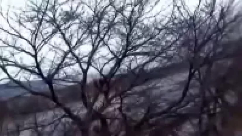 2011日本海啸罕见视频集