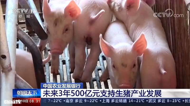 中国农业发展银行:未来3年500亿元支持生猪产业发展