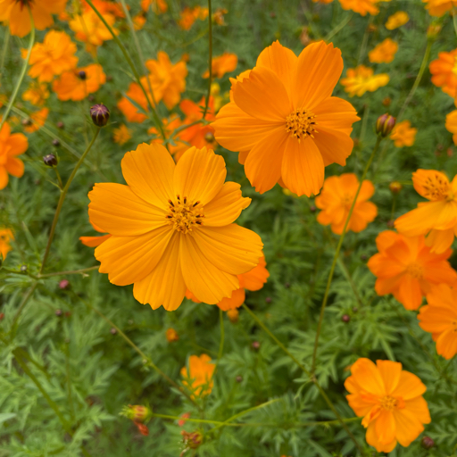 打乒乓球的老师 