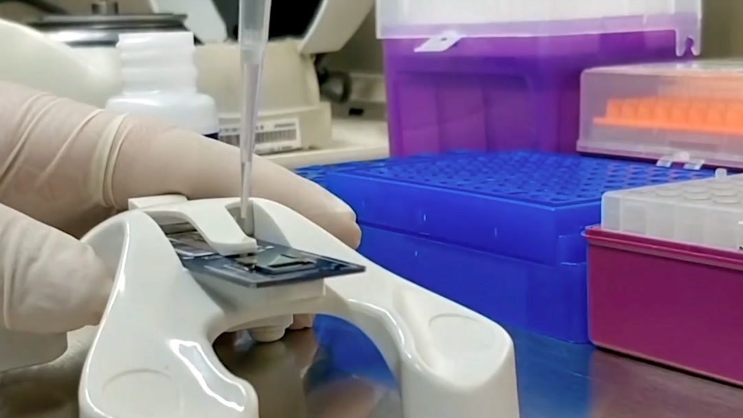 新冠病毒“弱点”找到了! 这种物质能有效阻止病毒复制