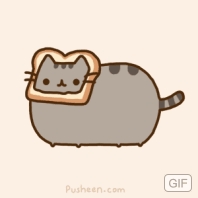 测地肥猫 