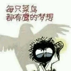 疯狂的菜鸟 