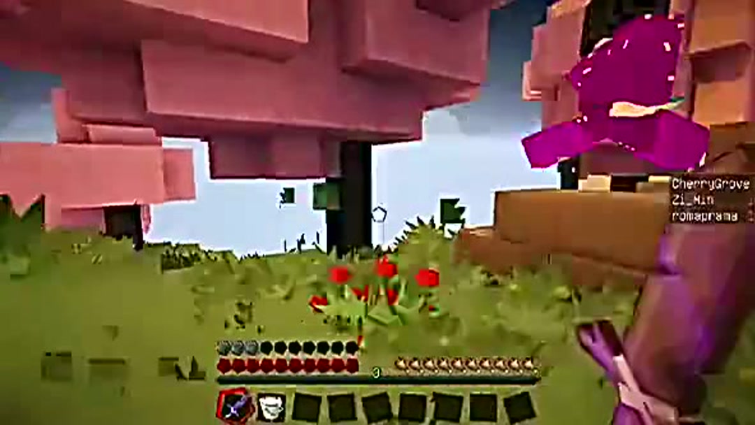 ★我的世界★minecraft《籽岷的多人小游戏 超