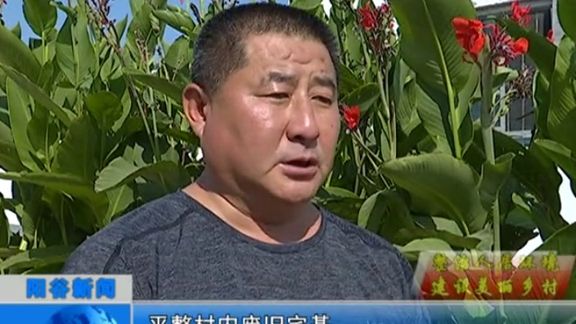 安乐镇:多措并举扎实做好农村环境综合整治工作