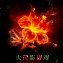 火花影视观 