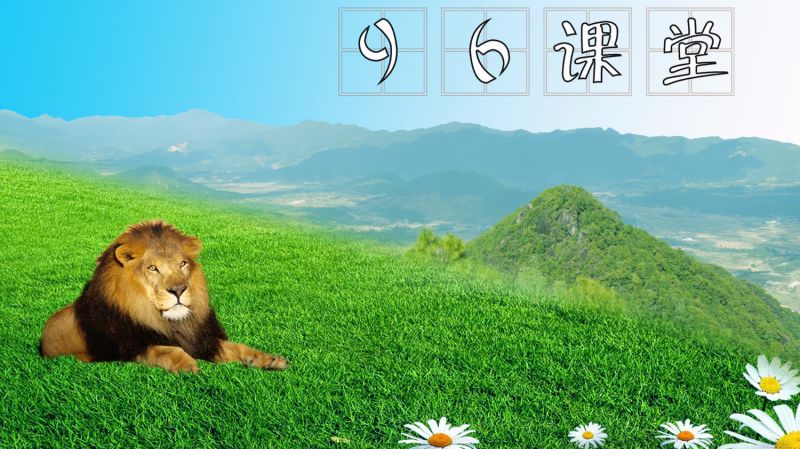 Photoshop系列教程:5分钟学会快速扣取动物毛发
