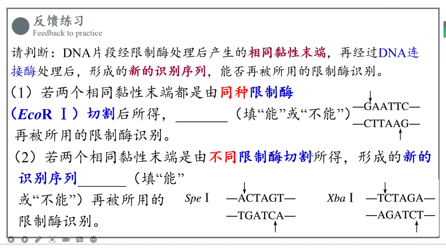 第三章基因工程第1节重组DNA技术 第3课时