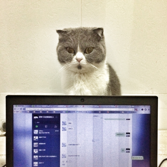 喵星人汤圆の日常 