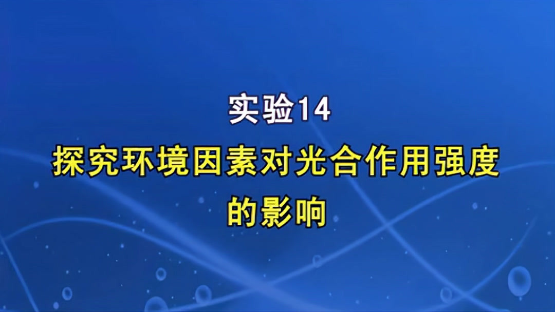实验14探究环境因素对光合作用强度的影响