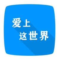 爱上这世界 