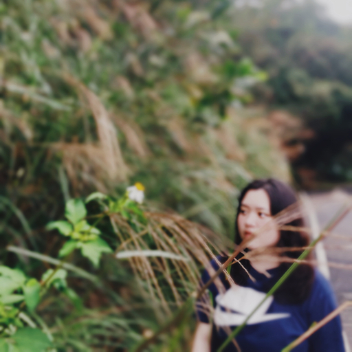 不是cc呀 