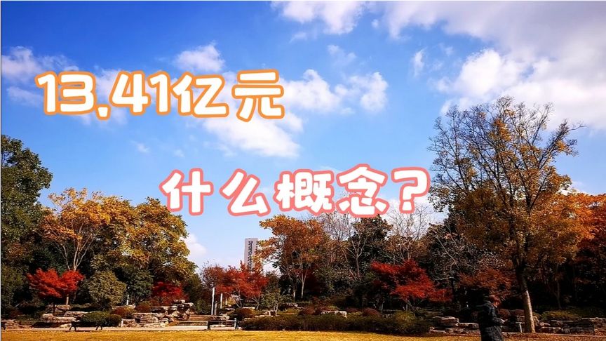补交税款加处罚和滞纳金13.41亿元,什么概念?贫穷限制我的想象