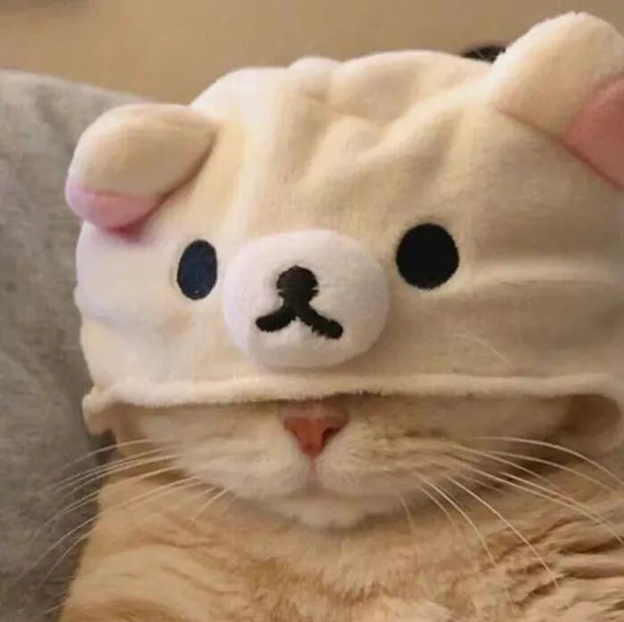 程程爱看漫 
