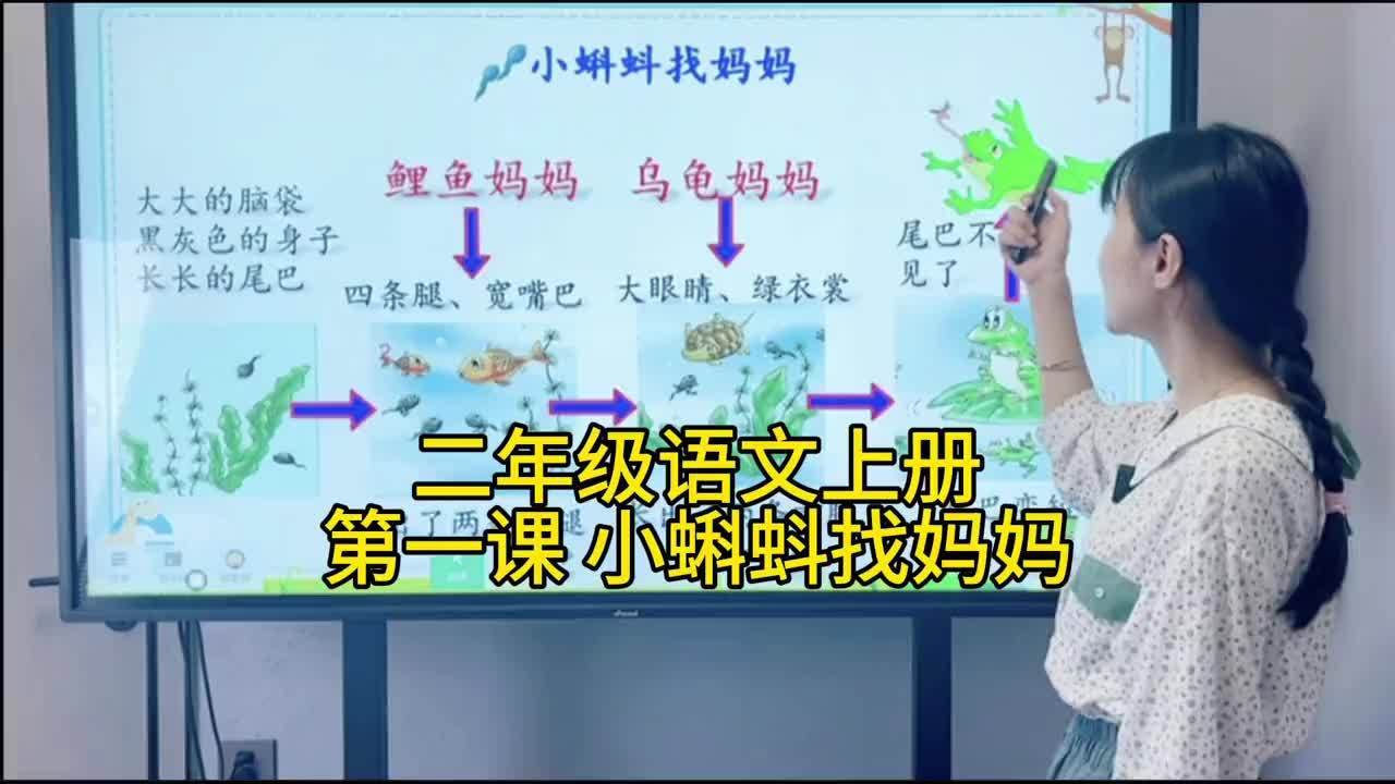 小蝌蚪找妈妈 课文梳理