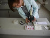 练习使用显微镜