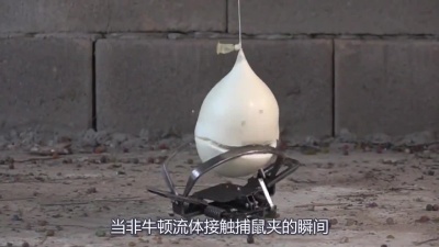 世界最小捕鼠夹威力有多大老外亲测,网友我笑了