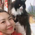 南茜小姐 