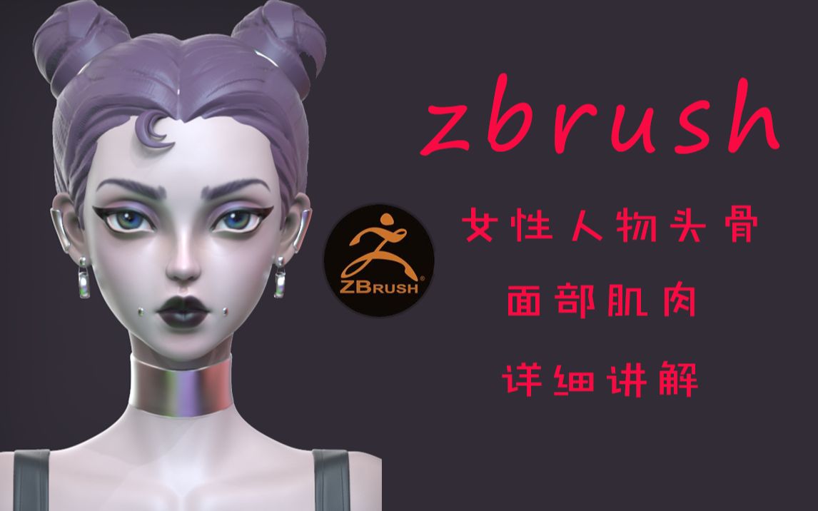 【zbrush人物建模】零基础人物建模教程,女性人物头骨、面部肌肉详细...