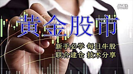 股票入门专用术语 股票K线技术分析 k线组合形态 股票技术指标 指标...