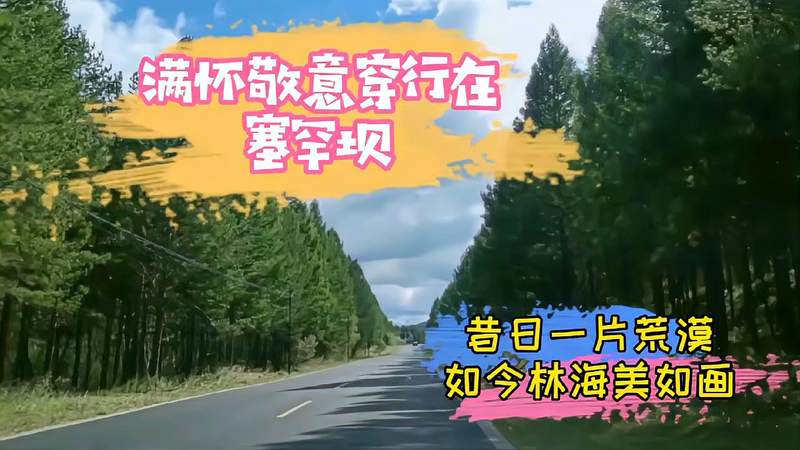 走进塞罕坝,感受人定胜天的力量!