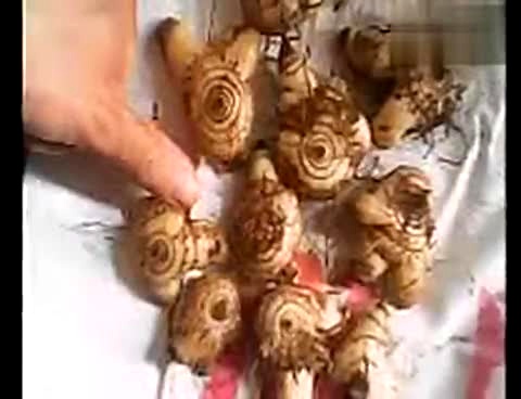 中药白芨,白芨图片,白芨粉价格,中药白芨的作用,白芨产地