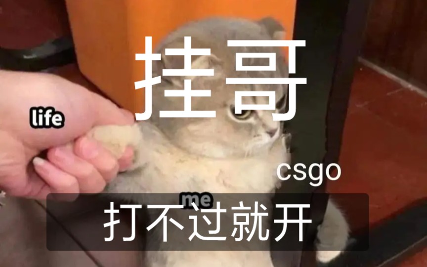【CSGO监管】哪有挂哥生成完美时刻的