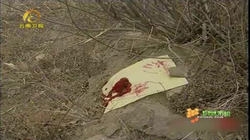 民间“何仙姑”,坟前做法降妖,木剑插黄符纸竟有血迹出现?