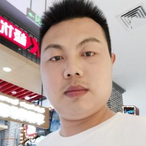 平哥在魔都 
