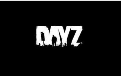 N种蠢蠢的死法—Dayzmod