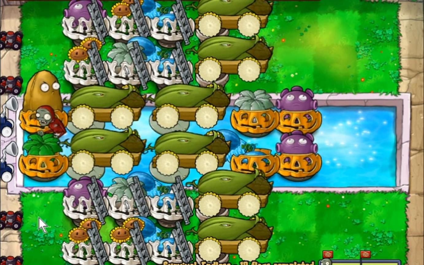 PE真饲养海豚八炮炸碾残白开局