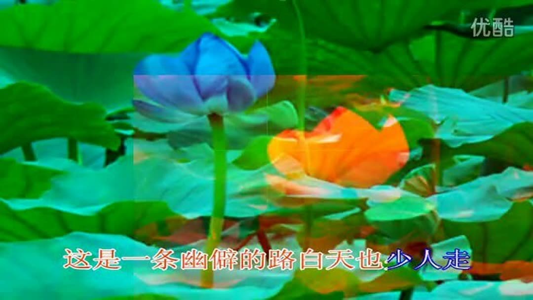 荷塘月色 朗诵_高清.mp4