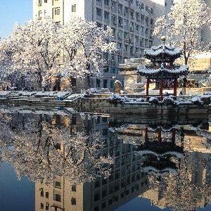 北京交大周老师 