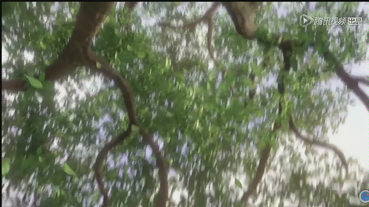 人渣反派自救系统预告出来了