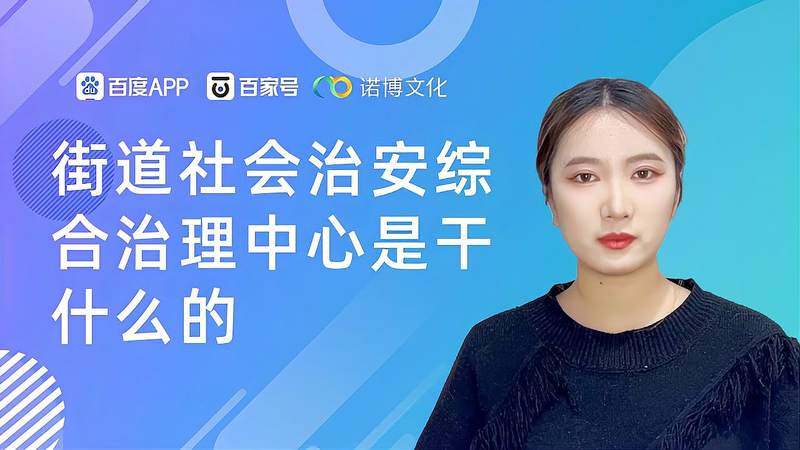 街道社会治安综合治理中心是干什么的