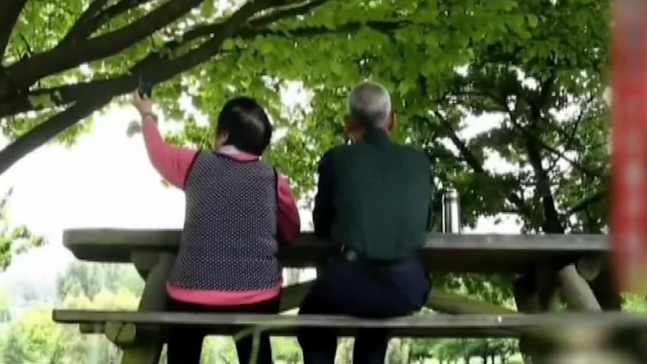 父亲的胃切除了六分之五,体重爆减,儿子决定带父亲出国旅行!