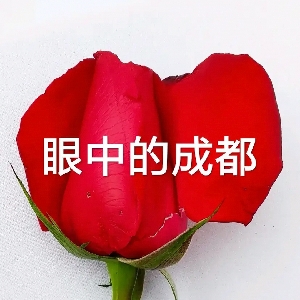 眼中的成都 