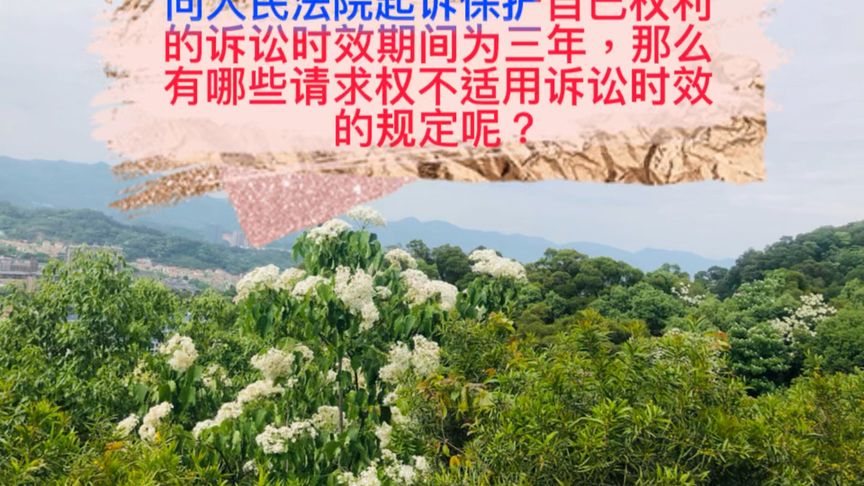 哪些请求权不适用三年诉讼时效,受到侵害后可以随时向法院起诉?