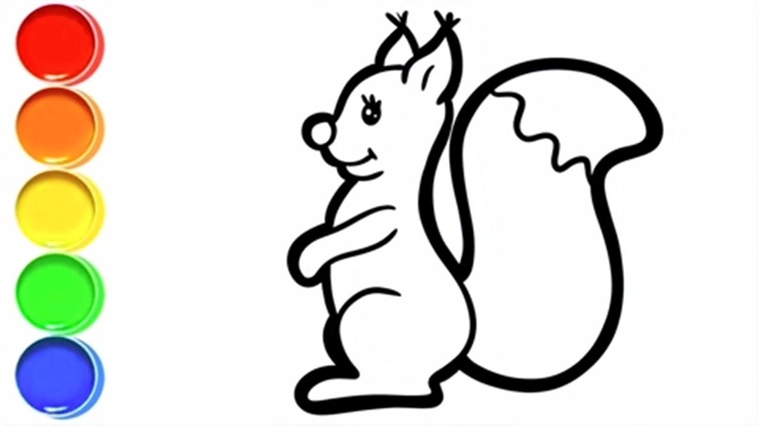   绘画乐翻天:动物乐园,各种有趣的小动物,教你画可爱的小松鼠