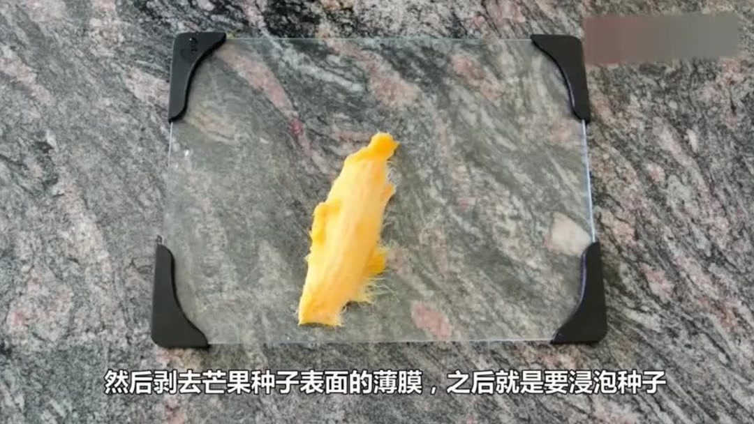 把芒果核埋进花盆里,长出的盆栽比发财树还要好看!