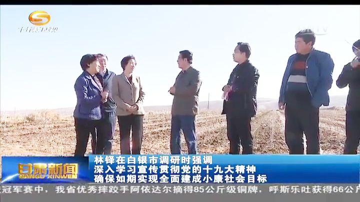 林铎:学习贯彻党的十九大精神 确保如期实现全面建成小康社会